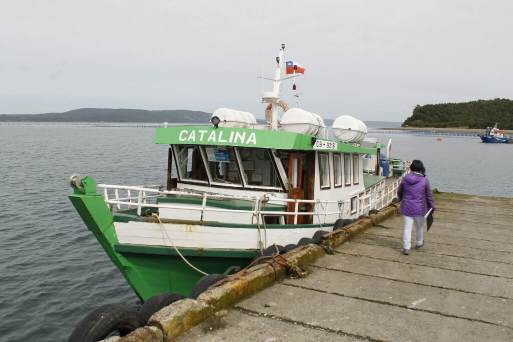 Tour Pingüineras de Queilen | Turismoqueilenchiloe.cl